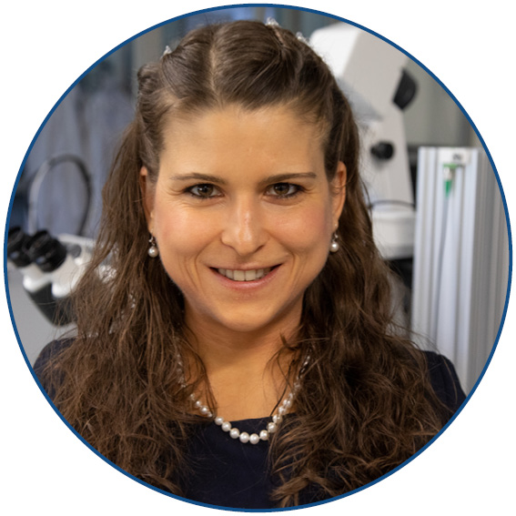 Prof. Dr. Silvia Budday - Hightech-Agenda Bayern